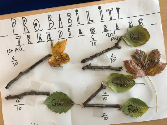 Mathsconf13 | MathsZest